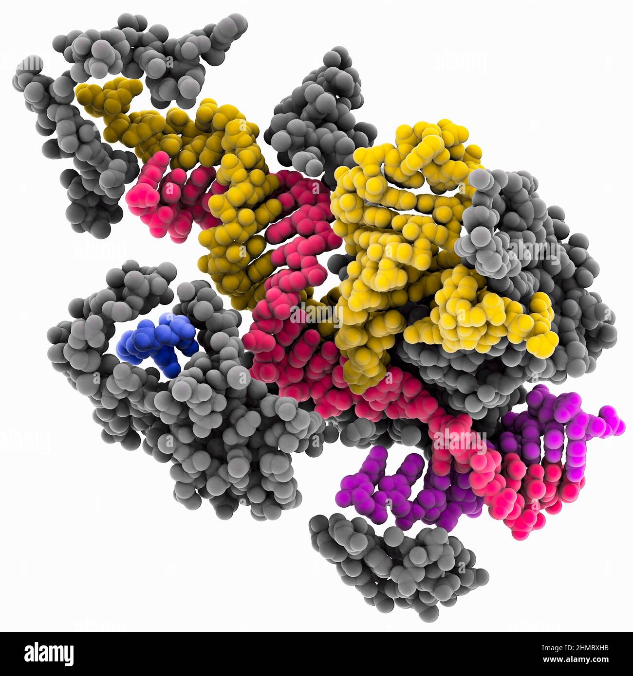 Endonuclease CRISPR-Cas phi3, molecular model Stock Photo - Alamy