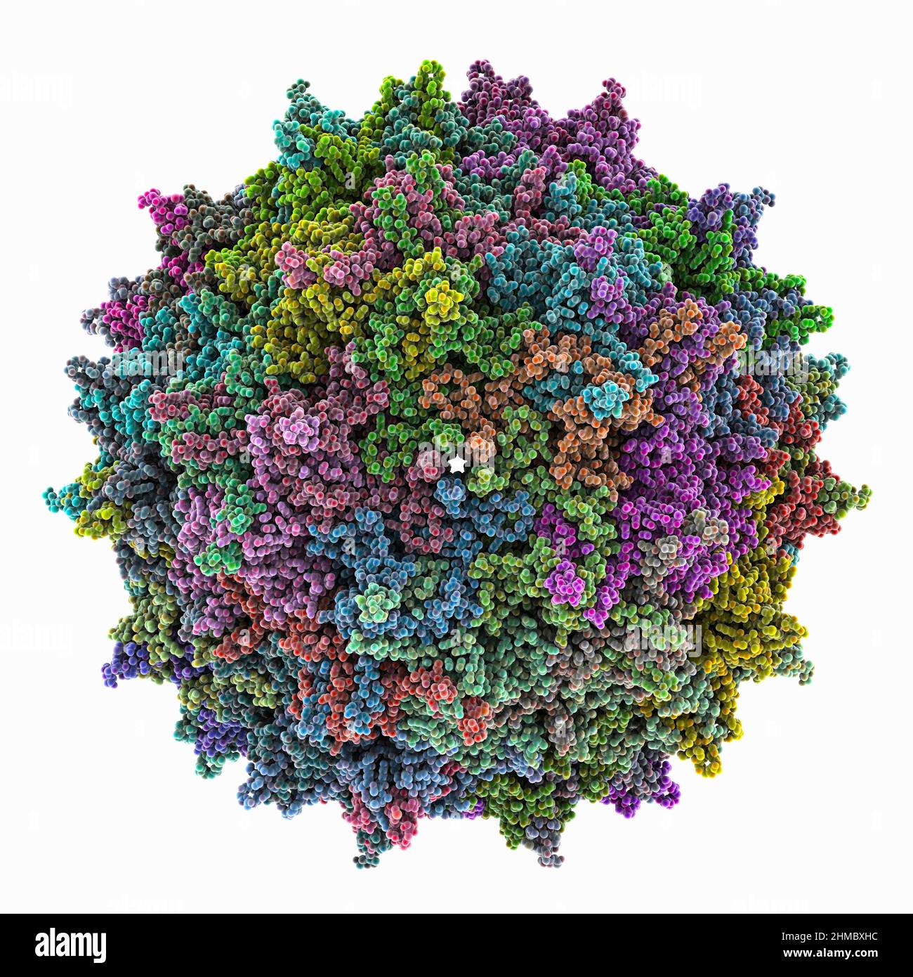 Adeno-associated true type virus capsid, molecular model Stock Photo ...