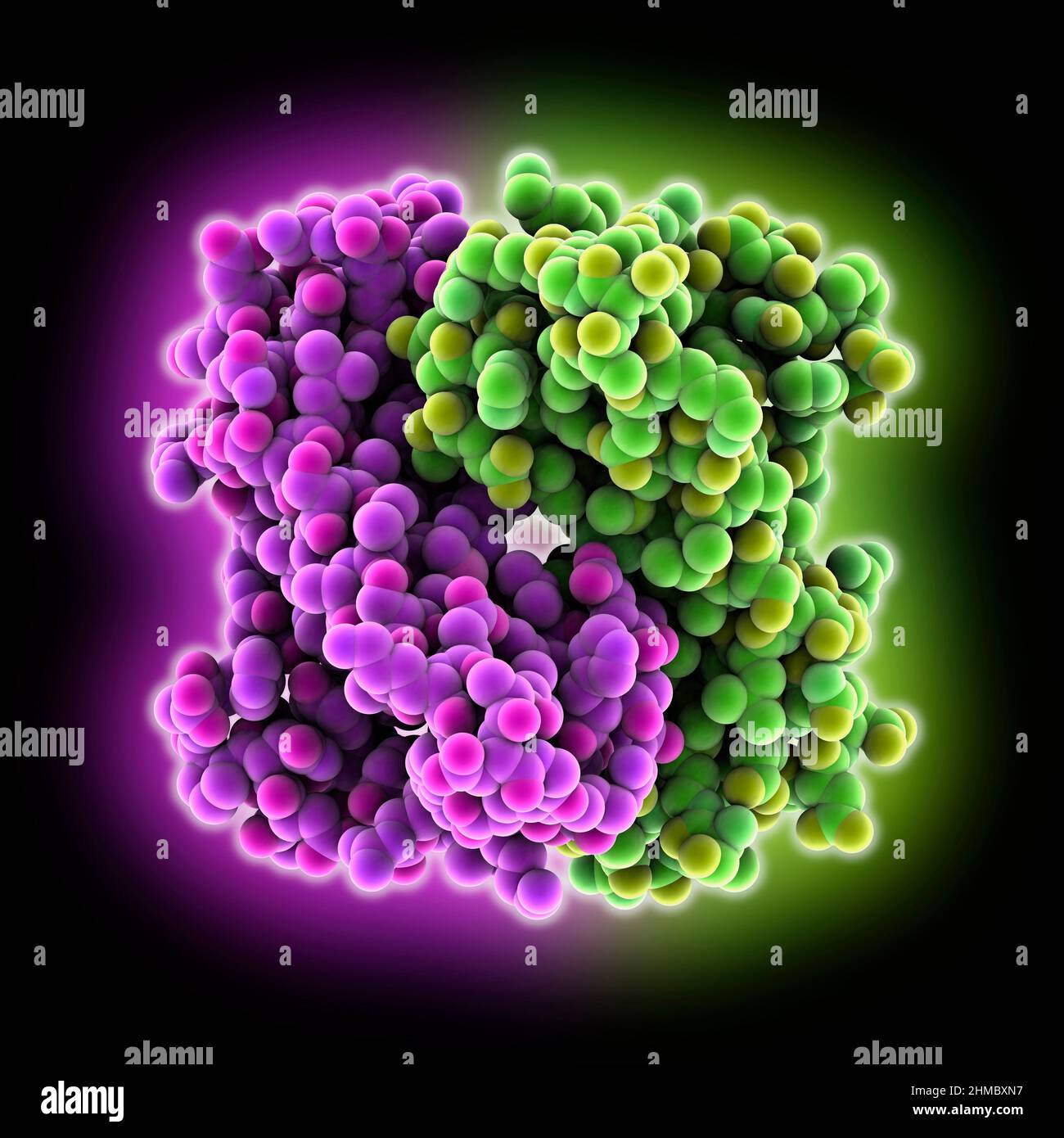 Anti-CRISPR-associated protein Aca2, molecular model Stock Photo - Alamy