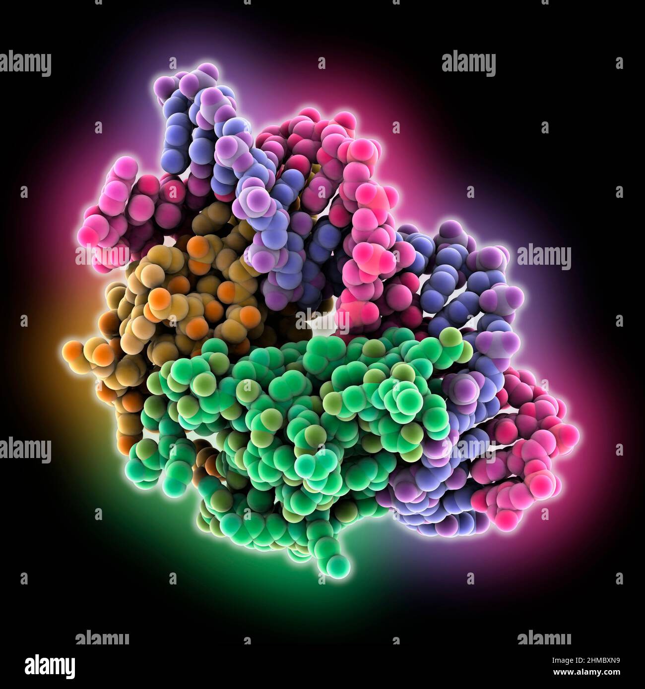 Anti-CRISPR-associated protein complex, molecular model Stock Photo - Alamy
