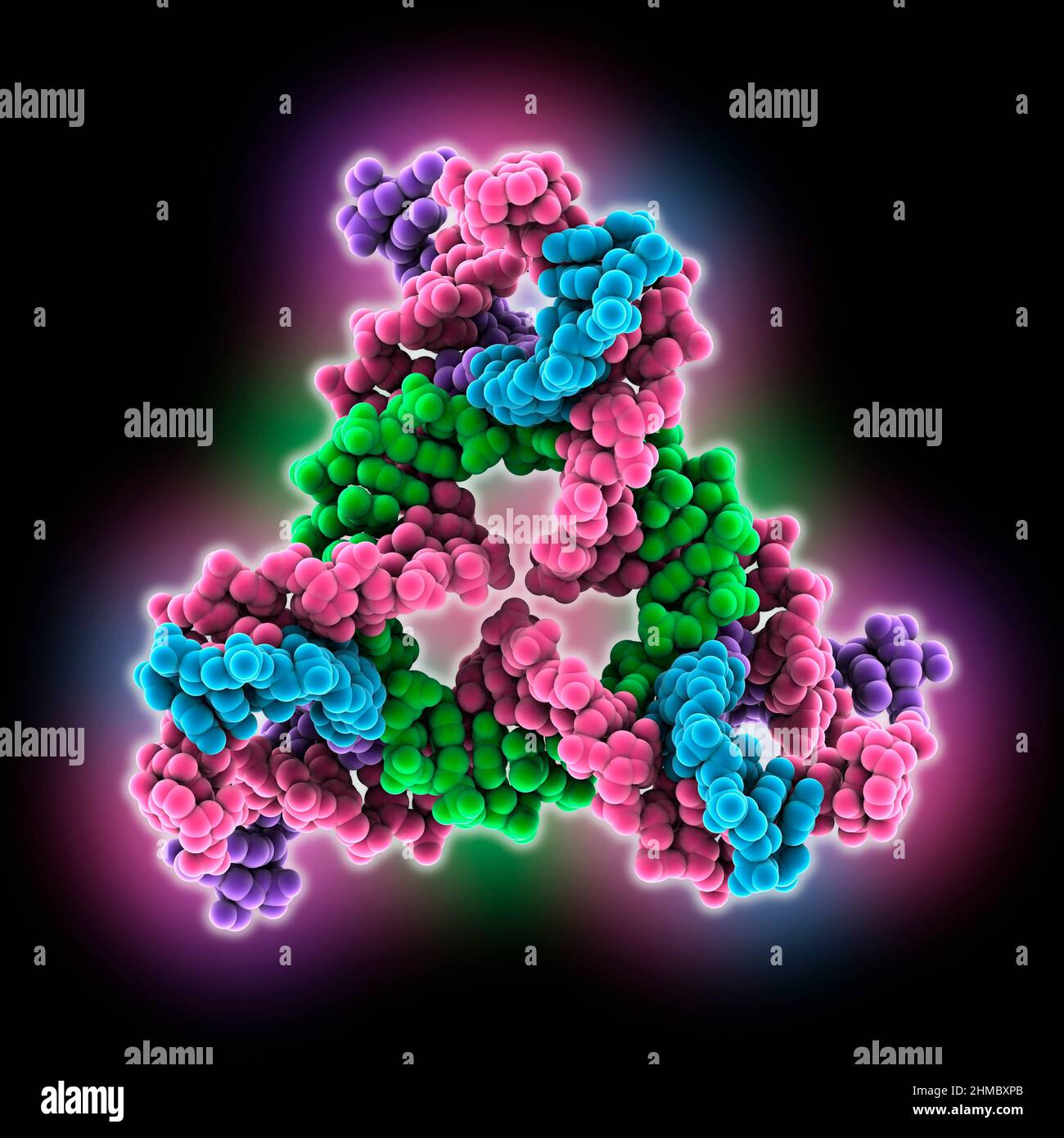 Self-assembled 3D DNA triangle, molecular model Stock Photo - Alamy