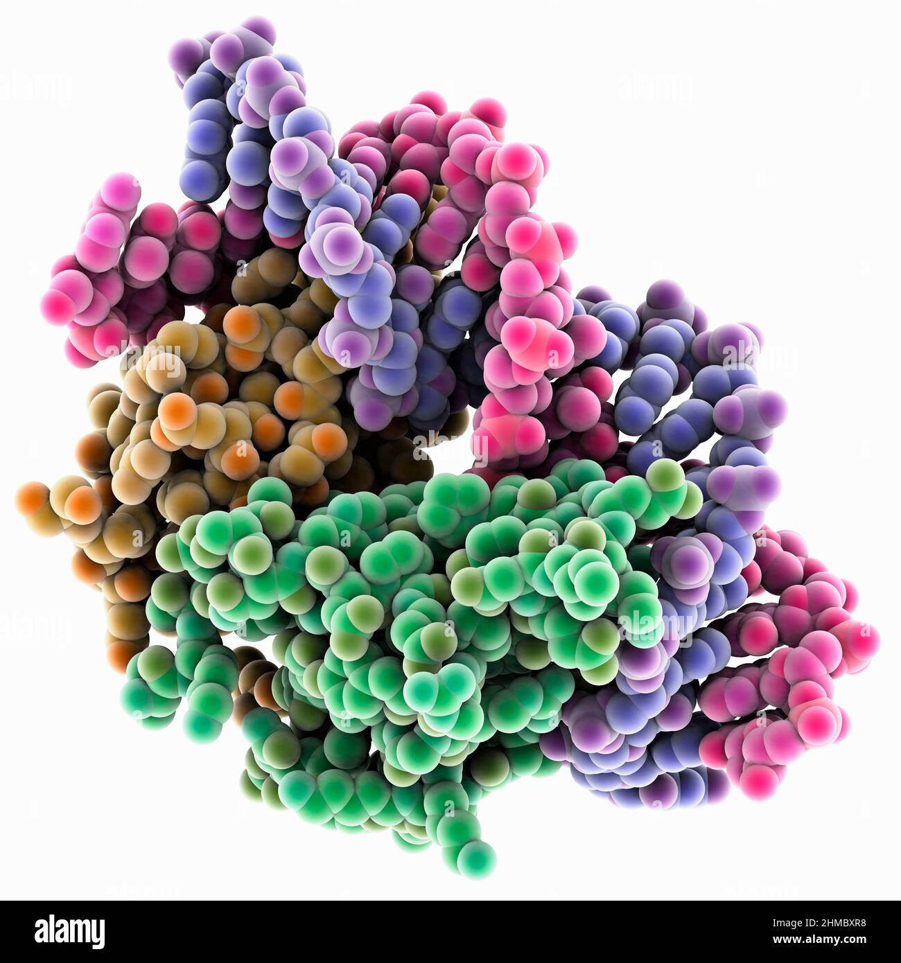 Anti-CRISPR-associated protein complex, molecular model Stock Photo - Alamy