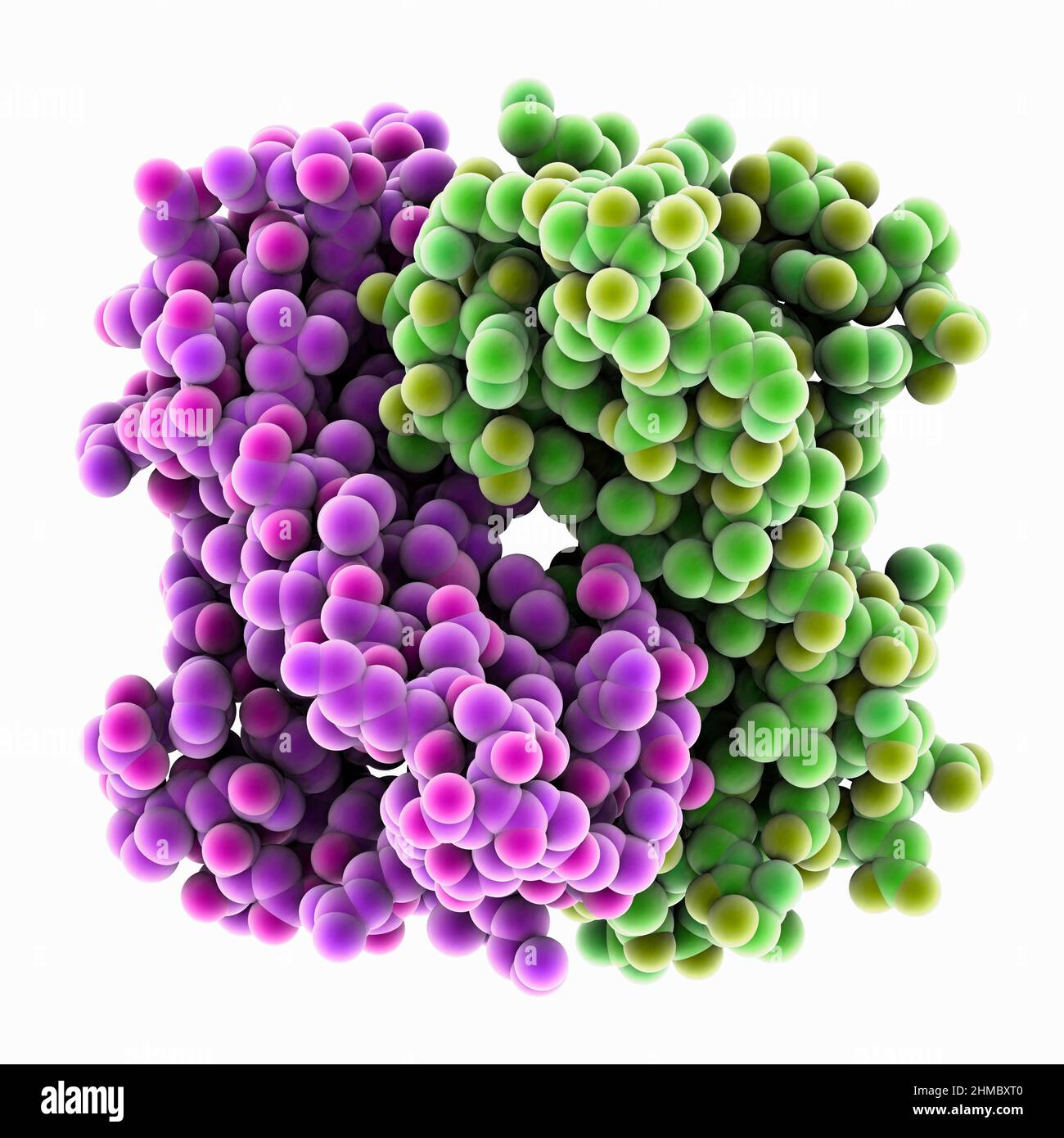 Anti-CRISPR-associated protein Aca2, molecular model Stock Photo - Alamy