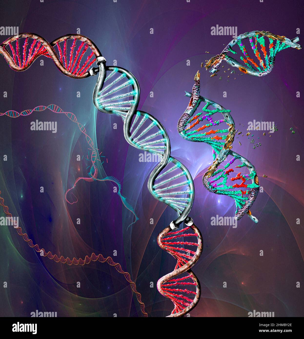 Genetic repair, conceptual illustration Stock Photo - Alamy