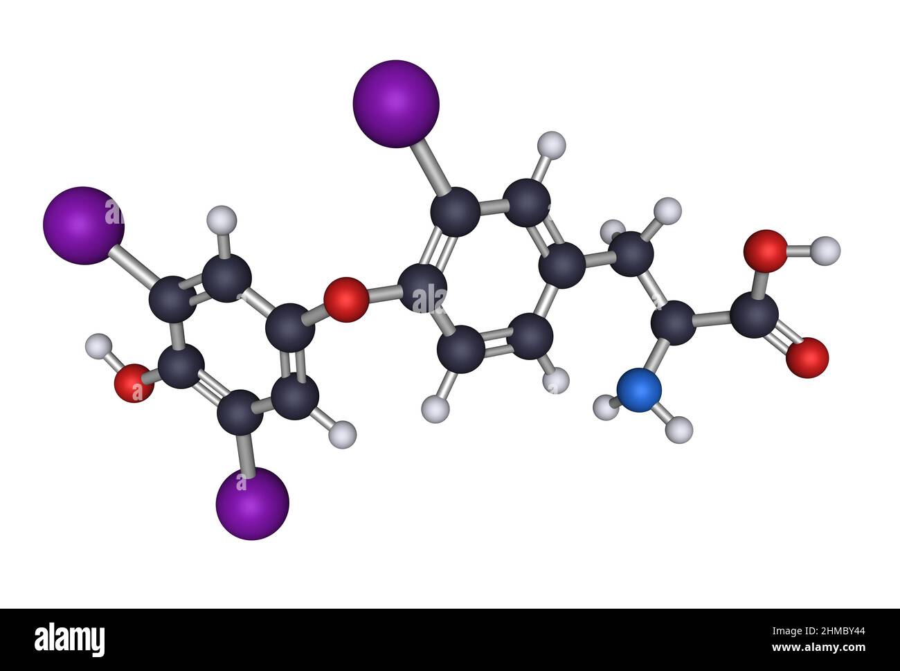 Reverse T3 thyroid hormone, molecular model Stock Photo - Alamy Reverse T3 thyroid hormone, molecular model Stock Photo - Alamy