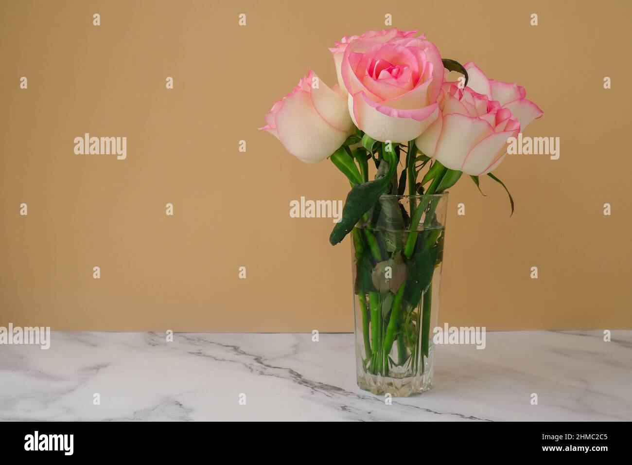 Delicate pink roses on beige background. Minimal composition. Abstract ...