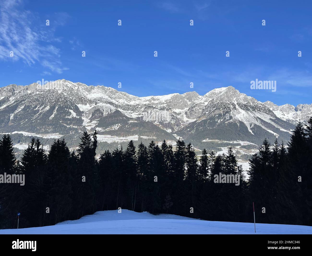 Winter landscape of pine trees with snow-capped mountains background in ...