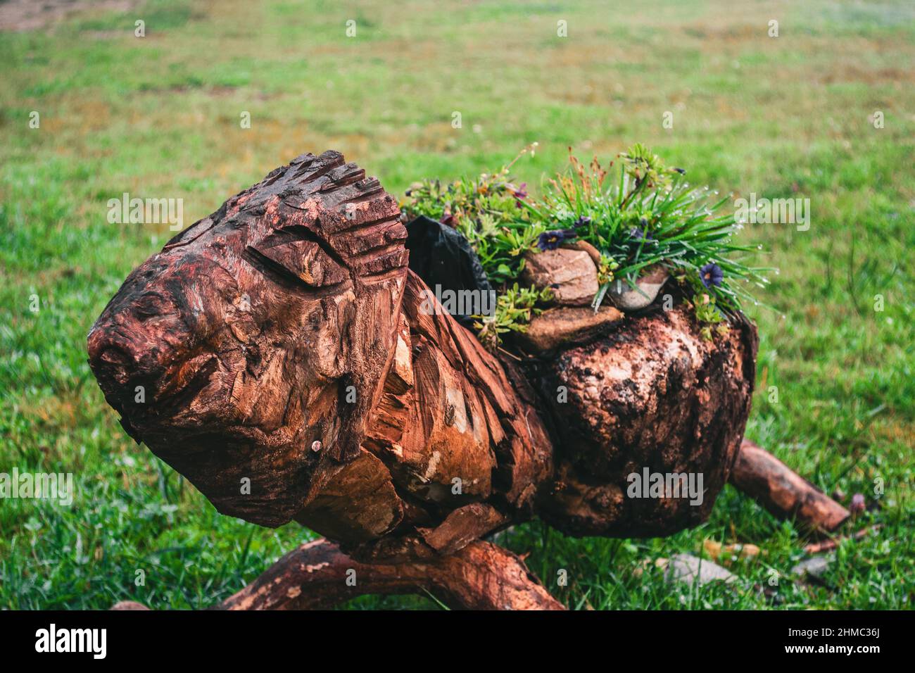 Wooden cute creature in the field with grass and flowers on its spine ...