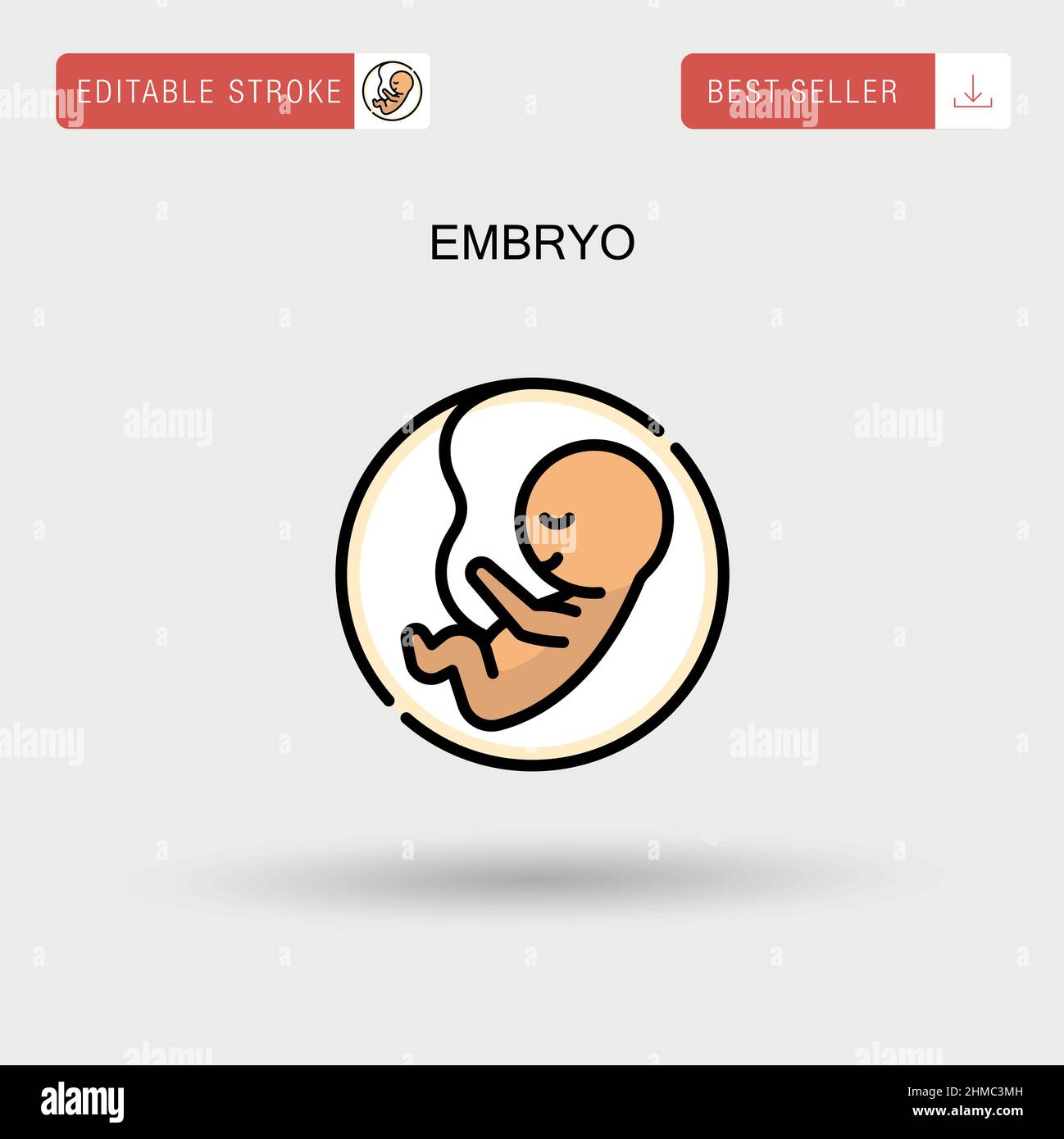 Embryo baby uterus hi-res stock photography and images - Alamy
