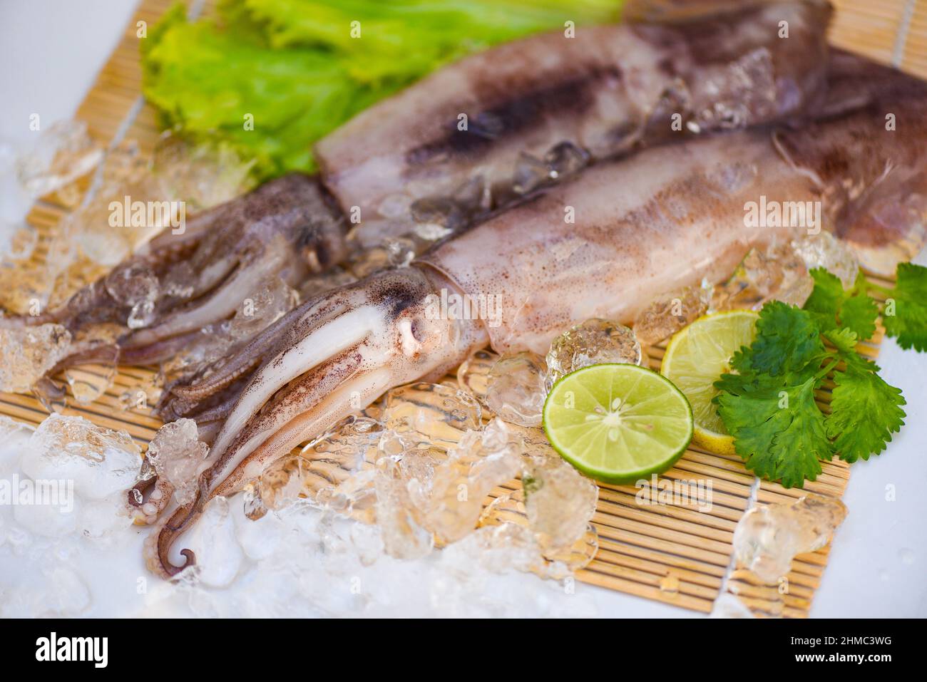 Squid on ice, Fresh raw squid with lettuce vegetable salad seafood coriander lemon lime on white ...