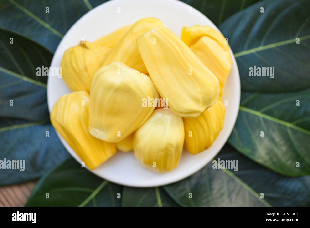 Green jackfruit peel texture hi-res stock photography and images - Alamy
