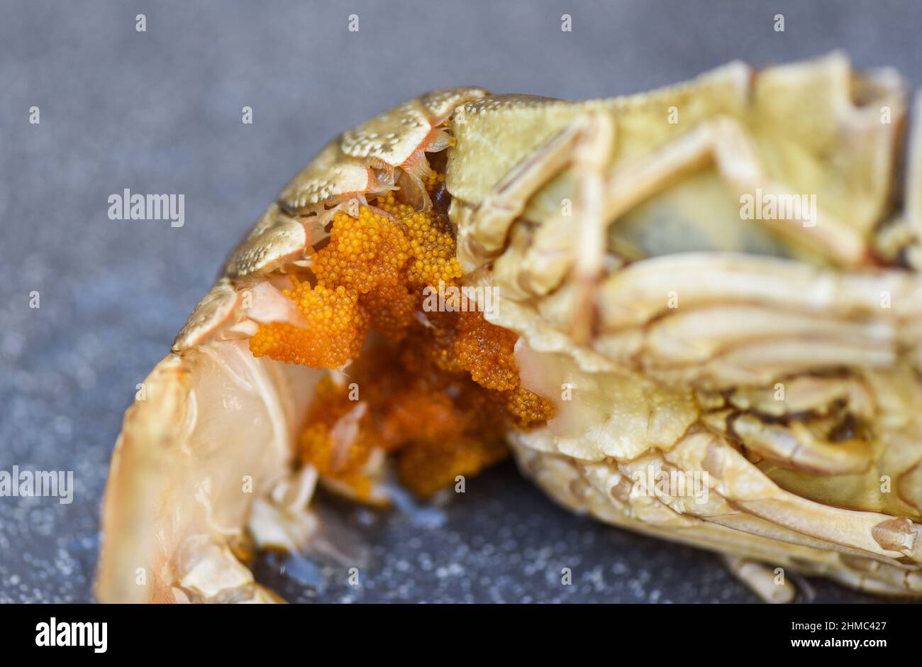 Shrimp egg, fresh raw eggs on shrimps or flathead lobster, tobiko Stock ...