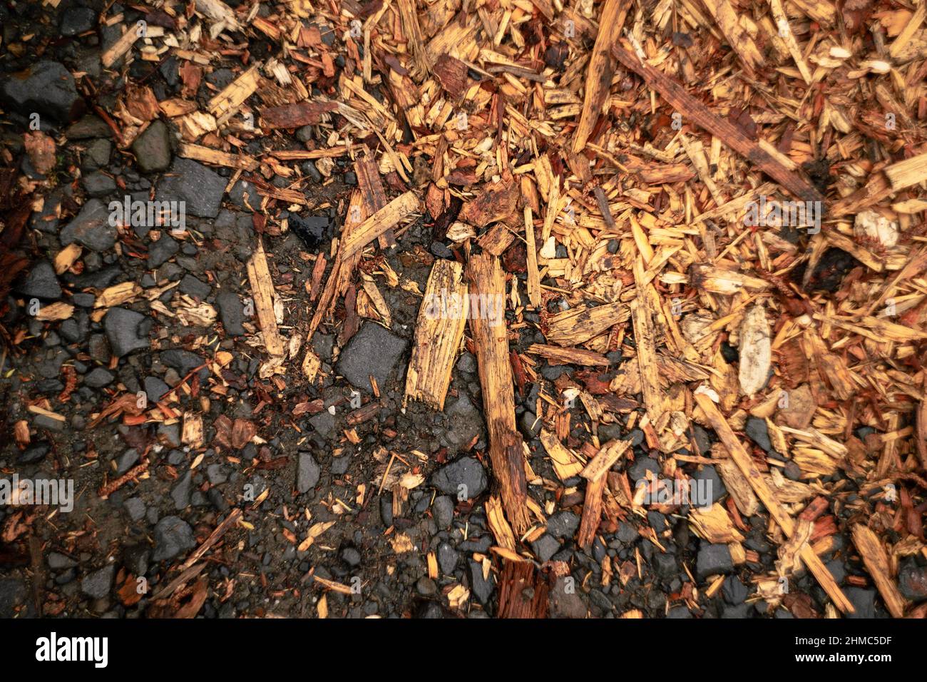 Top view of chopped wood and black coal on the ground Stock Photo - Alamy