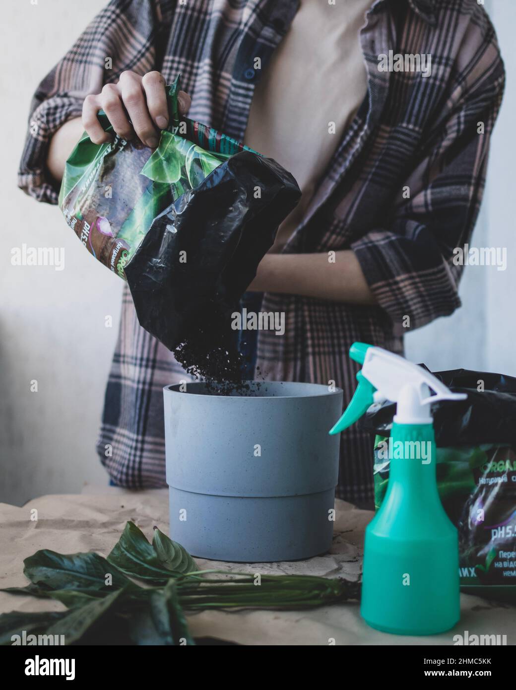 A woman is throwing a soil into pot for preparing planting a young ...