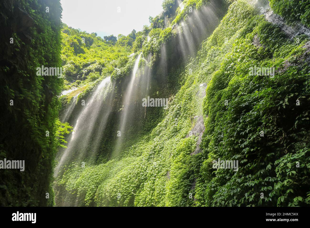 Madakaripura Waterfall-Deep Forest Waterfall in East Java, Indonesia ...