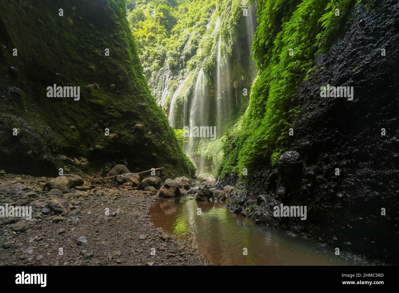Madakaripura Waterfall in national park. The tallest waterfall in Java ...