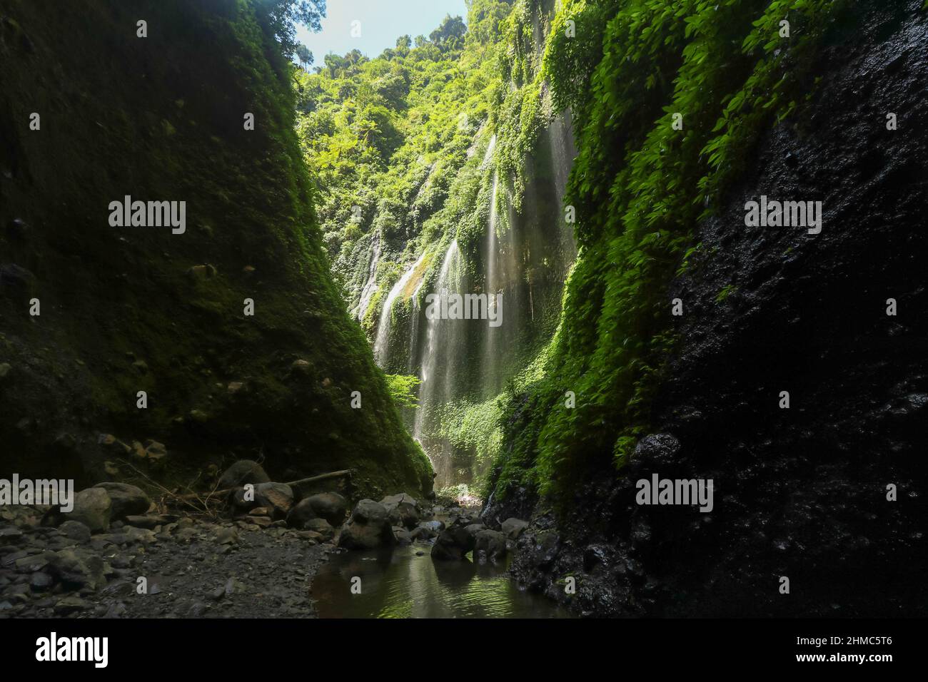 Madakaripura Waterfall in national park. The tallest waterfall in Java ...