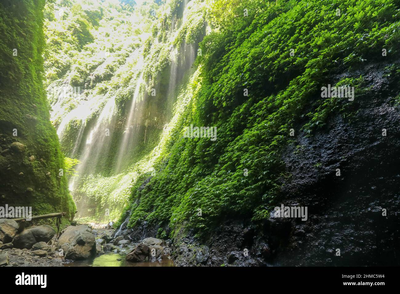 Madakaripura Waterfall in national park. The tallest waterfall in Java ...