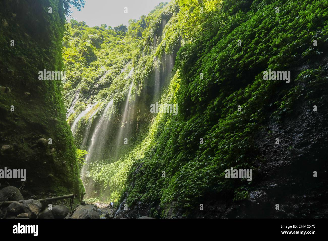 Madakaripura Waterfall in national park. The tallest waterfall in Java ...