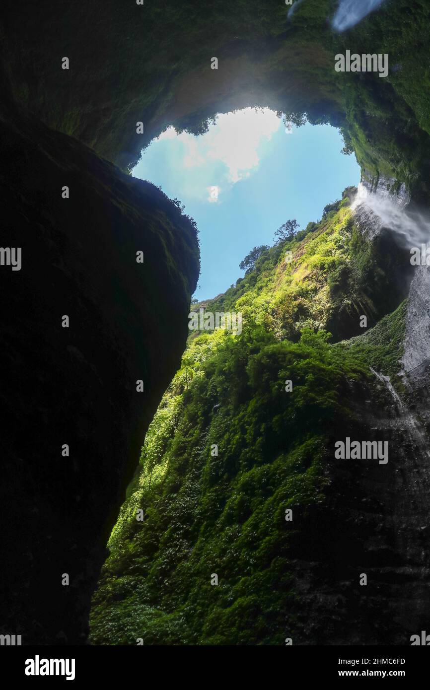 View from below the Madakaripura Waterfall, Indonesia Stock Photo - Alamy