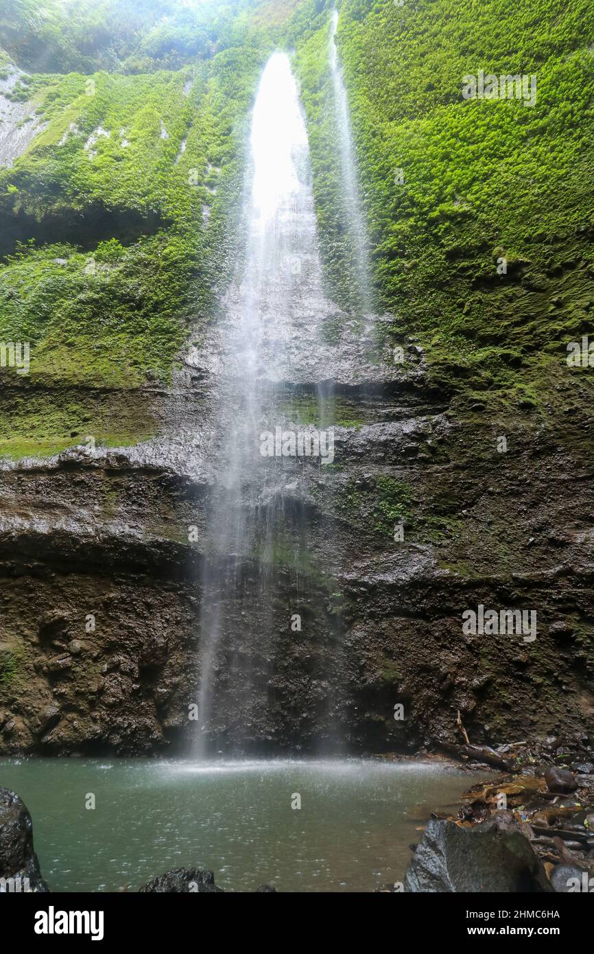 Beautiful view of Madakaripura waterfall with green moss and blue sky ...