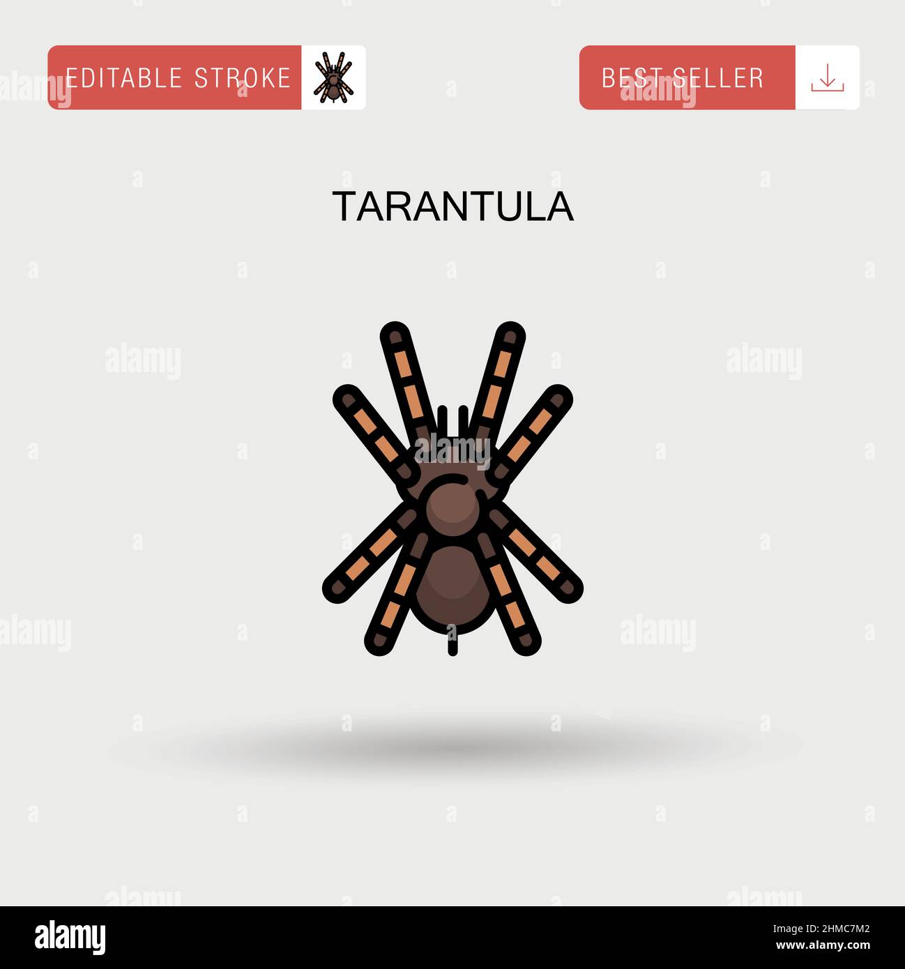 Tarantula Simple vector icon Stock Vector Image & Art - Alamy