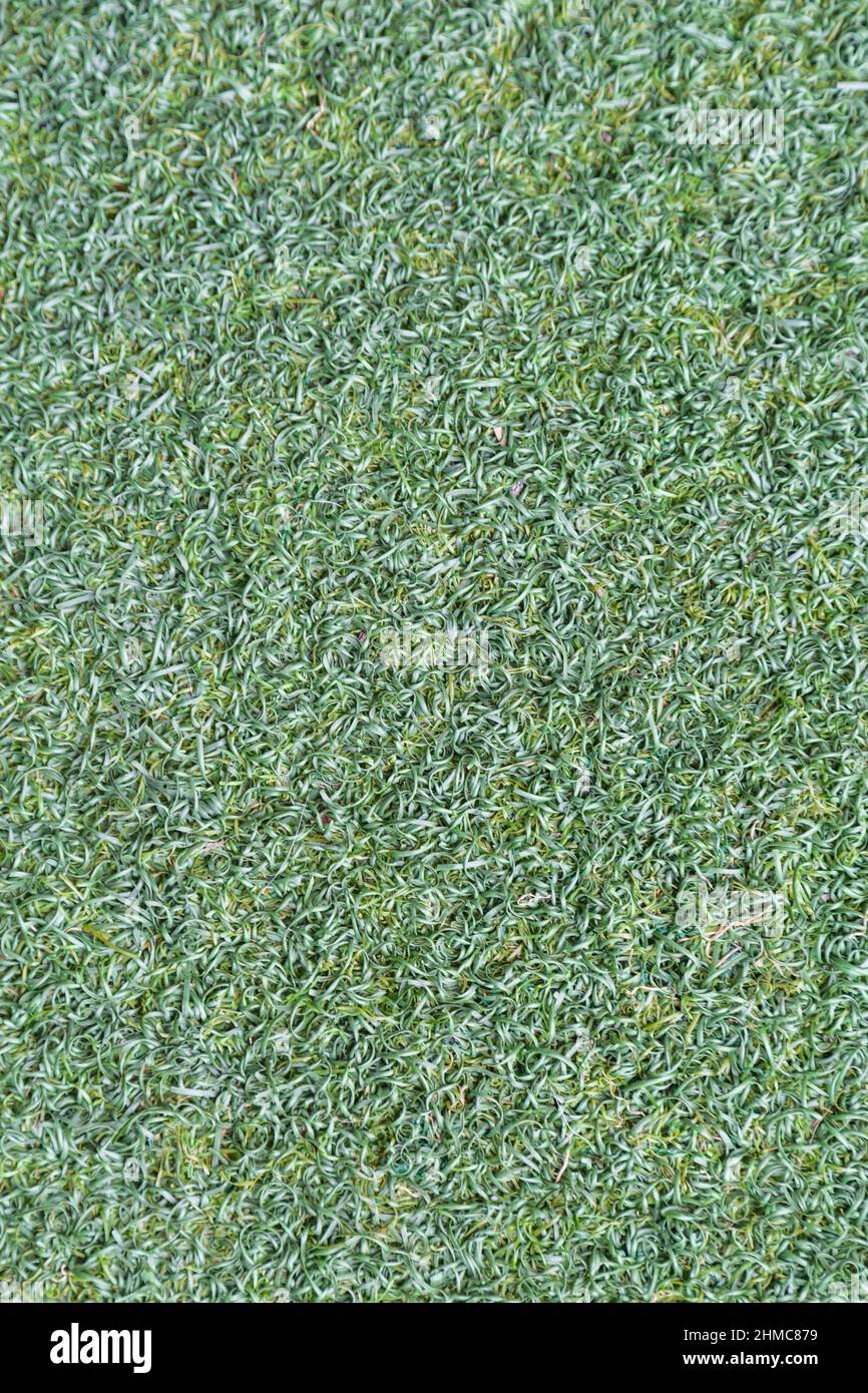 Green artificial grass texture background Stock Photo - Alamy