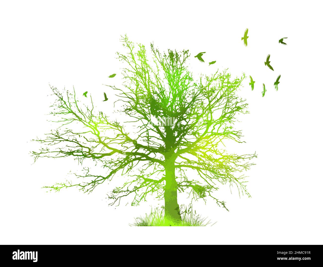 A beautiful green tree with birds . Vector illustration Stock Vector ...
