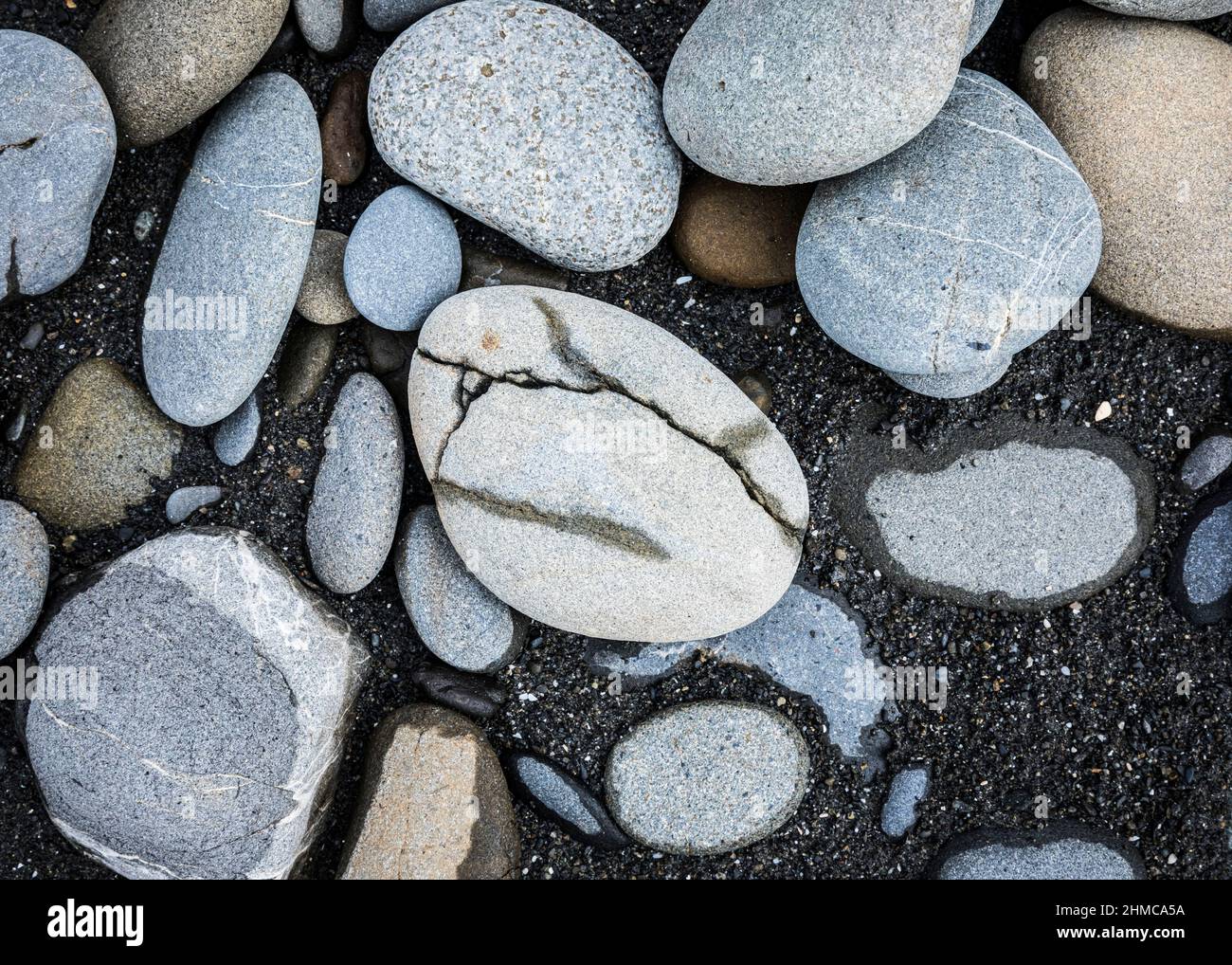Rocks on a beach. Cracks dry slow. Ruby Beach, Washington Coast, USA ...