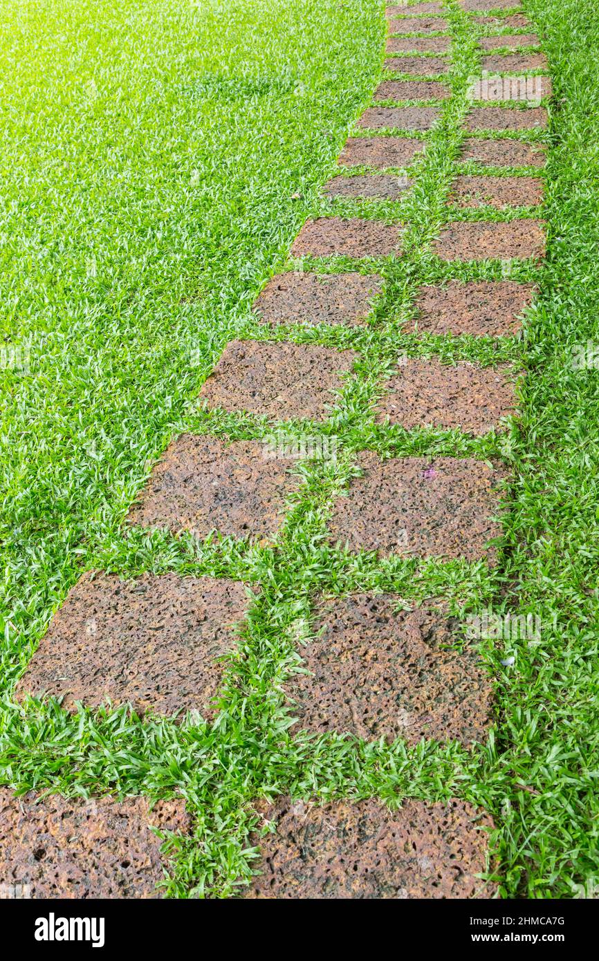 walk way in the garden with green grass background Stock Photo - Alamy