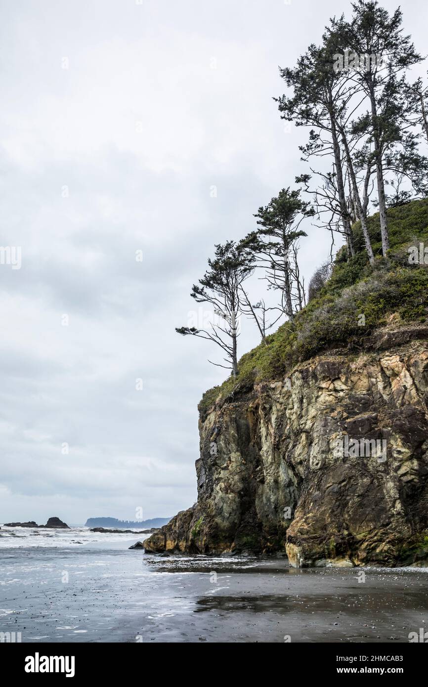 Ruby Beach on the Olympic Coast of Washington State, USA Stock Photo ...
