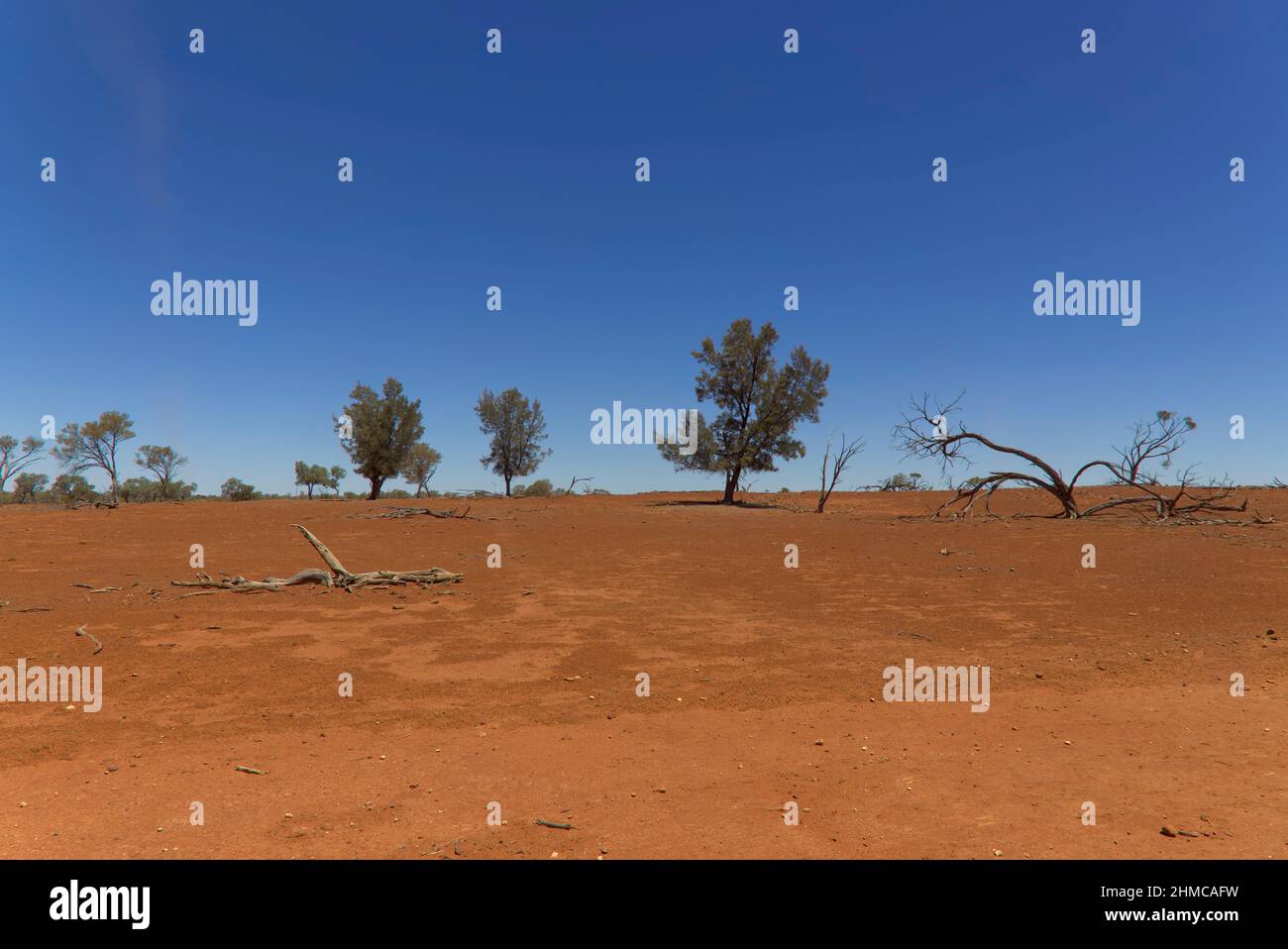 Drought landscape west of Cobar New South Wales Australia Stock Photo ...