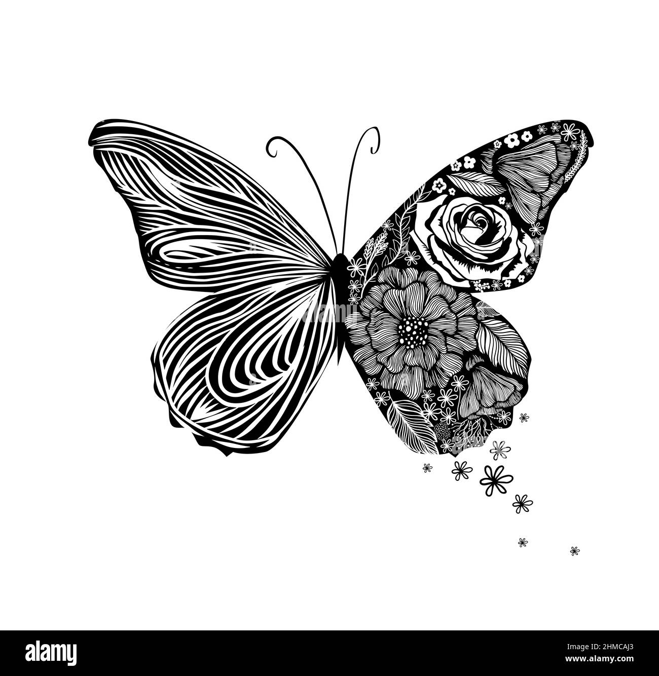 Butterfly monochrome from patterns. Vector Patterned illustration for ...