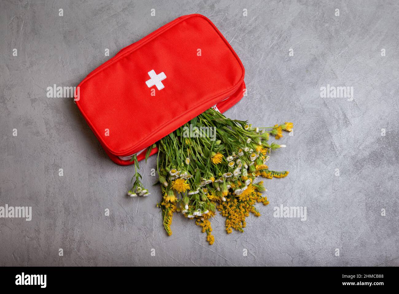 First aid kit with herbs and natural remedies Stock Photo - Alamy