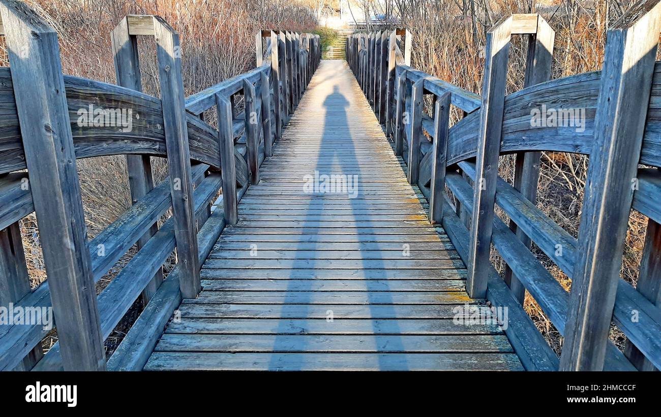 Man's shadow on the surface of wooden walkway Stock Photo - Alamy