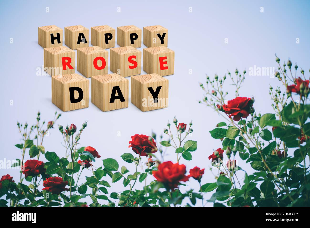 Cubes with "Happy Rose Day" letters and red roses Stock Photo - Alamy