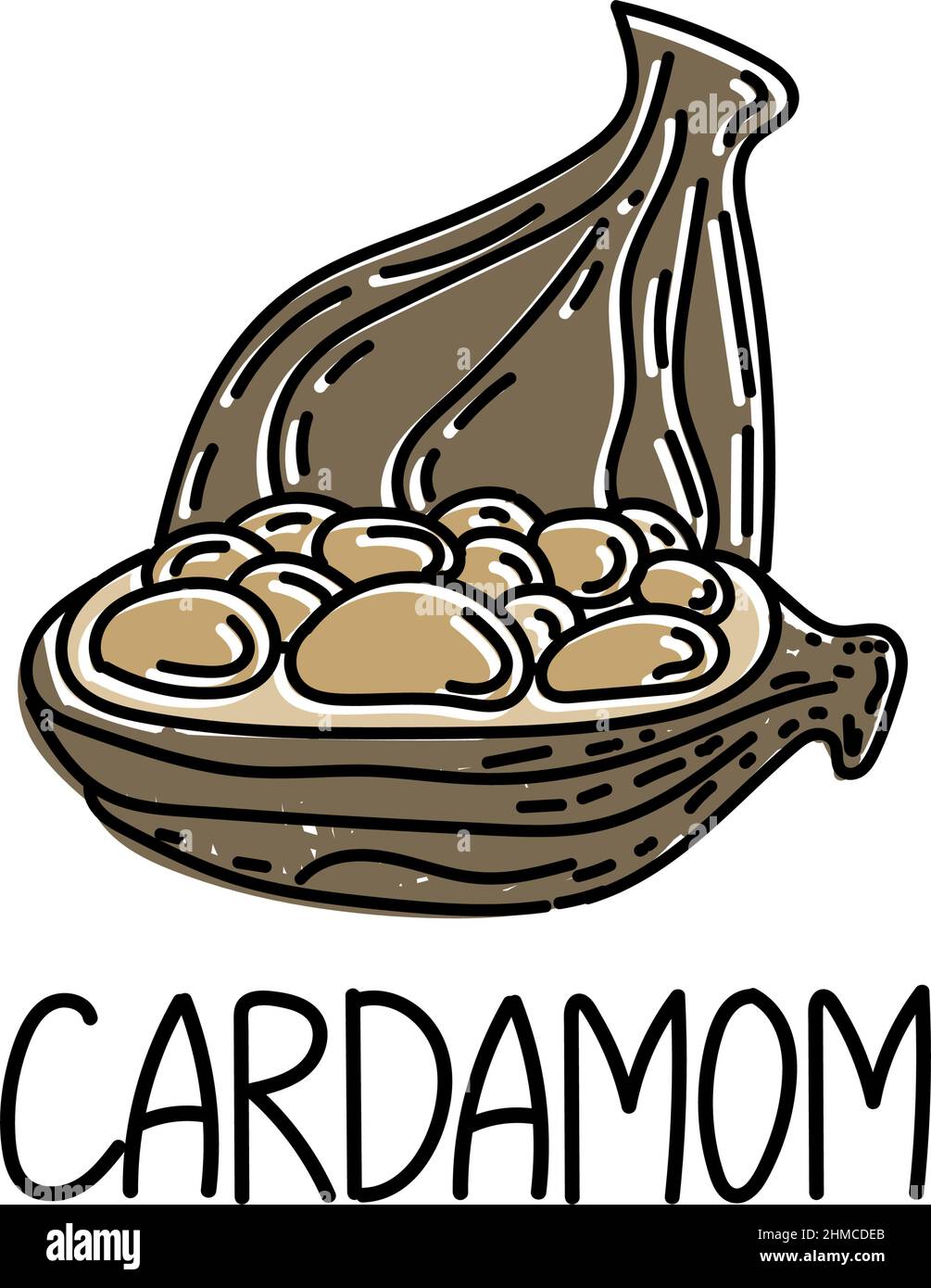 Cardamom, drawn element in doodle style. Logo and emblem packaging ...
