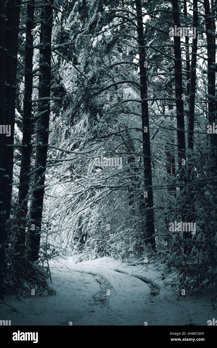 Snowy mountain trails hi-res stock photography and images - Alamy