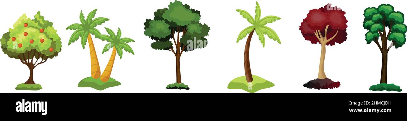 Set of 6 different trees on a white background - Vector illustration ...