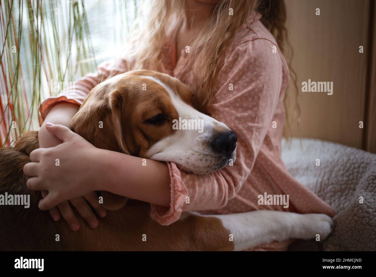little cute girl hugs a beagle dog sitting on the windowsill Stock Photo - Alamy