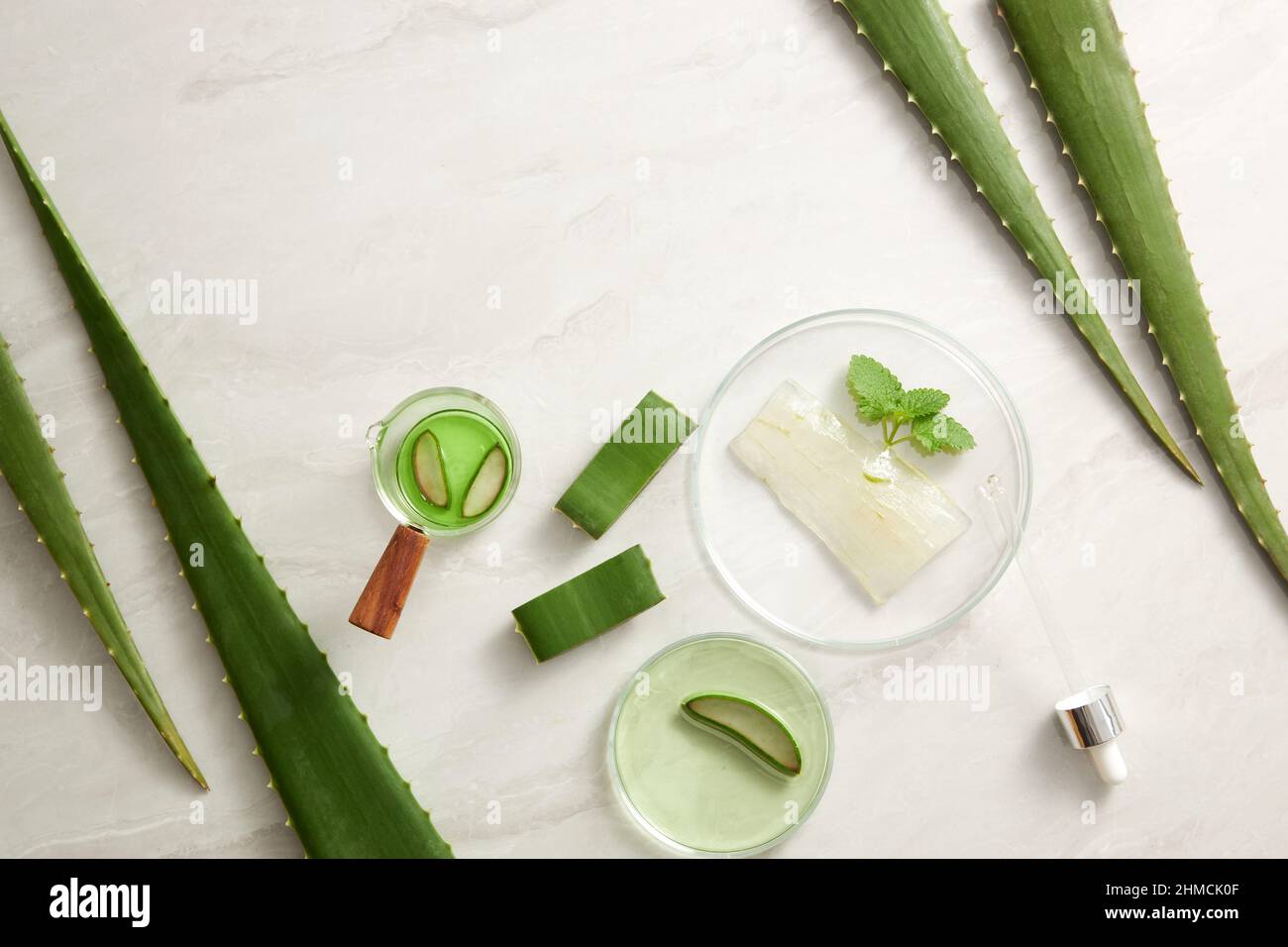 Aloe vera extract research in laboratory with a petri dish dropper in ...