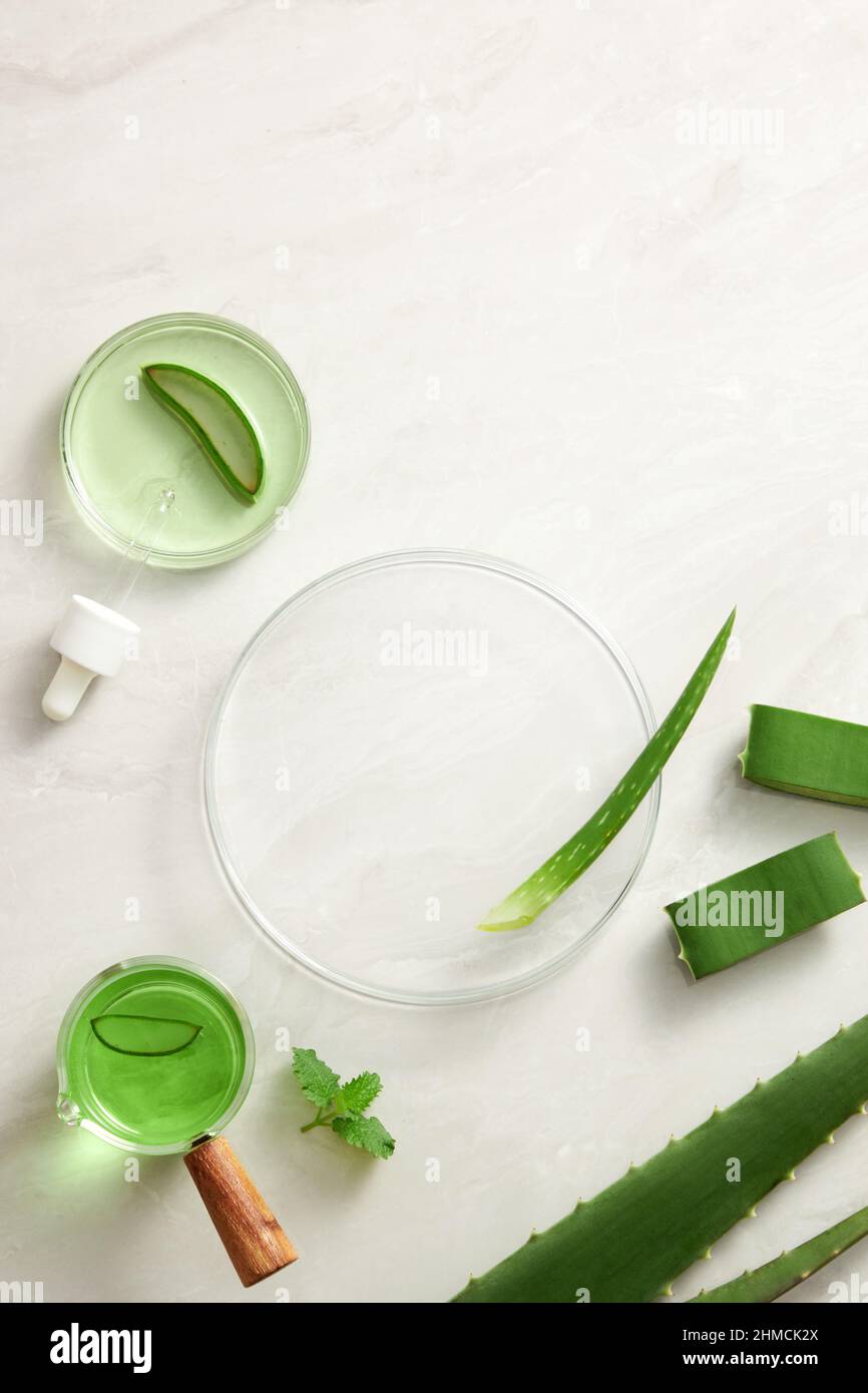 Aloe vera extract research in laboratory with a petri dish dropper in ...