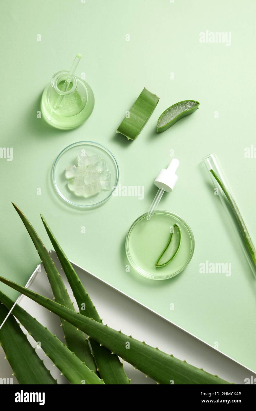 Aloe vera extract research in laboratory with a petri dish dropper in ...