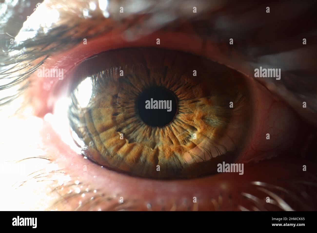 Beautiful person eye with fluffy eyelashes, macro shot of human eye ...