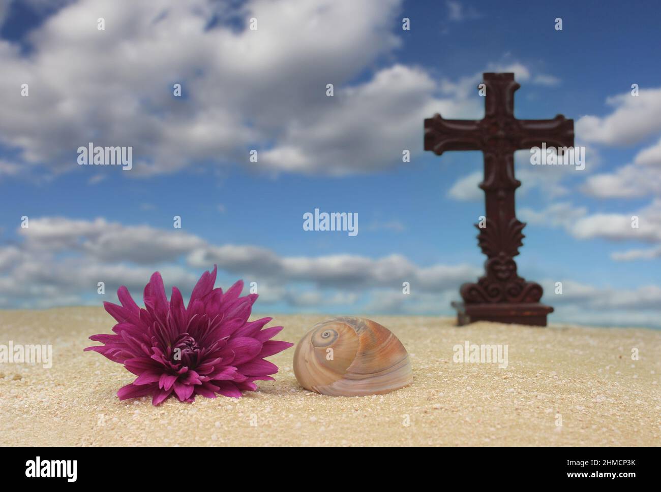 Sea Shells With Cross on Sand, Shallow DOF Focus on Shell Stock Photo ...