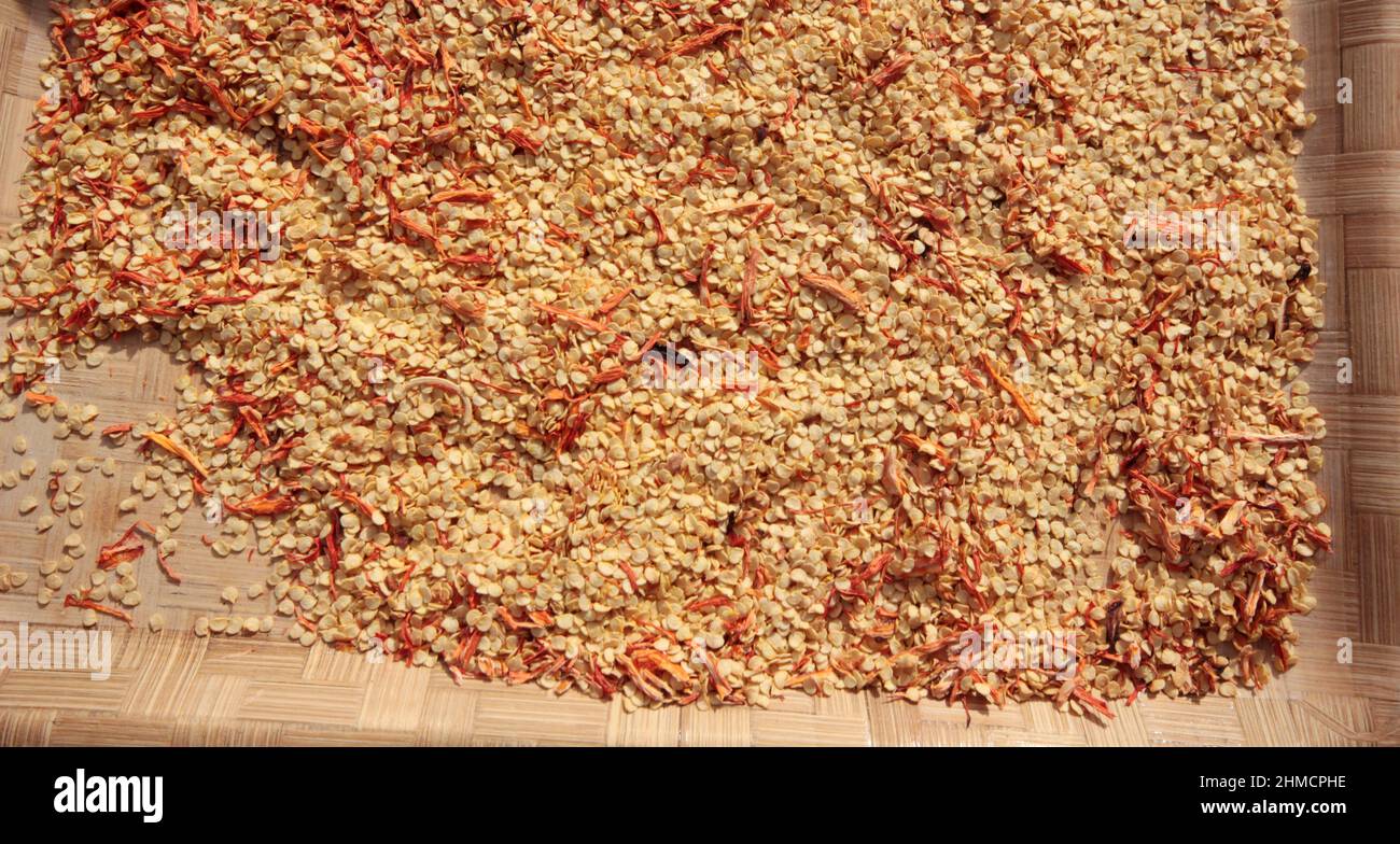 dried red pepper seeds for planting in soil Stock Photo - Alamy