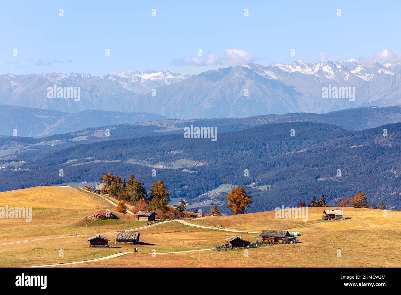 Tourist scenic paths on Seiser Alm plateau during golden autumn. South ...