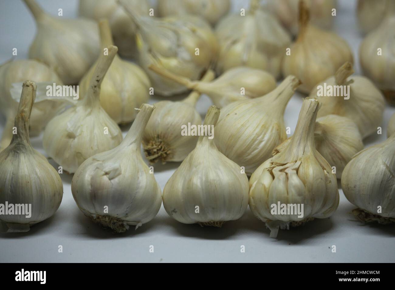 Small white garlic with white background Stock Photo - Alamy