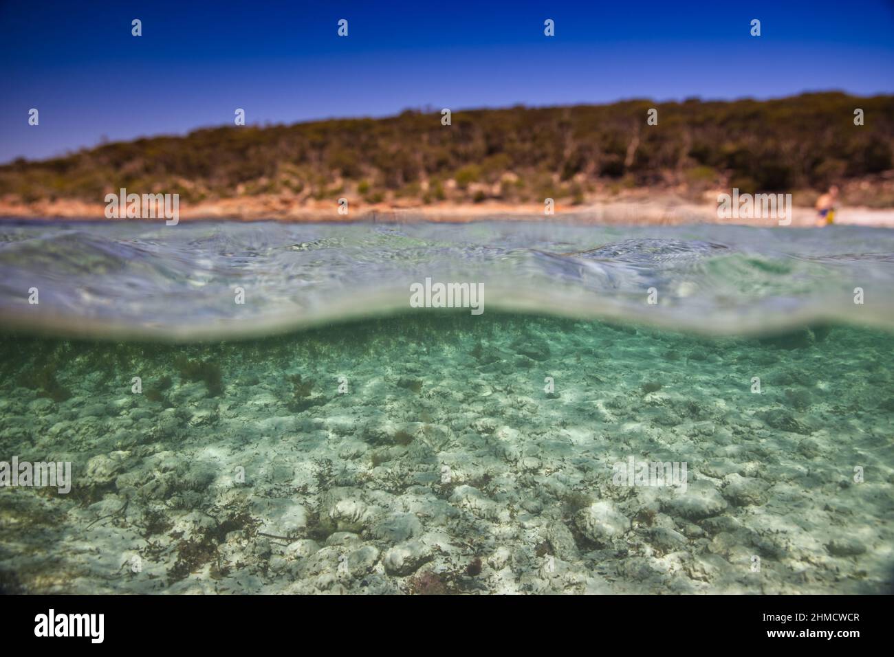 Stunning underwater shot hi-res stock photography and images - Alamy