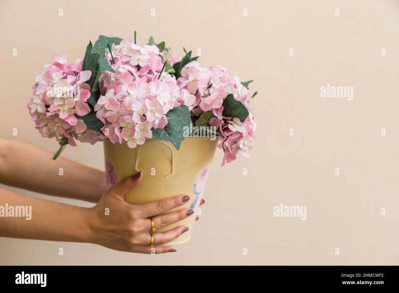 Hand hold buckets of fabric pink flowers on beige background Stock ...